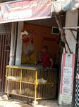 Mashallah chicken sales centre (No:4, Sherwani Town Housing Scheme, Block A), kanatlı hayvan ürünleri ve yumurta  Lahor'dan