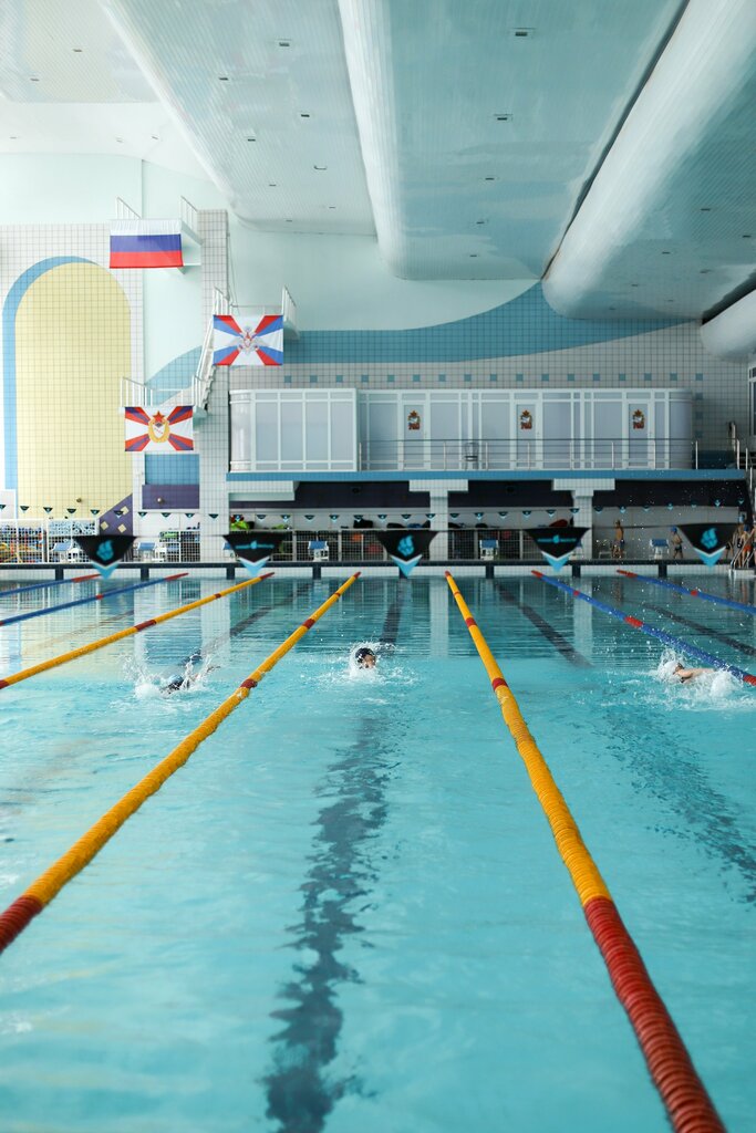 Yüzme okulu Плыви легко, Samara, foto