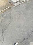 Stroiproekt (Gazovikov Street No:29), proje enstitüleri, kurumları  Tiumen'den