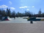 Скейт-парк (Samara Region, Tolyatti, Tsentralny park kultury i otdykha), kaykay parkı  Tolyatti'den (Togliatti'den)