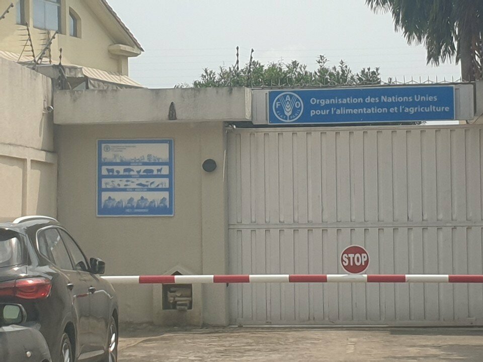 Uluslararası kurumlar Fao Ci, Abican, foto