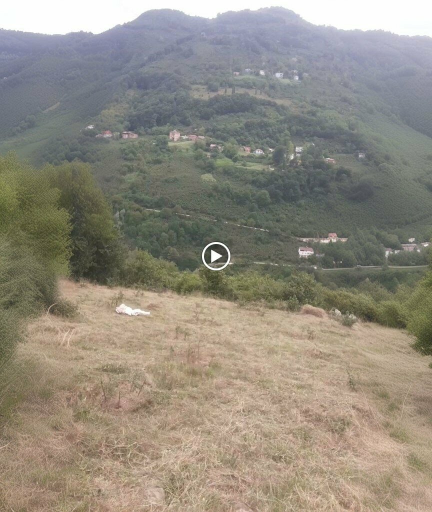 Ortaokul Divantürk Şehit İrfan Ünceli İlkokulu, Kumru, foto