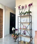 Spine Center Sağlıklı Yaşam Merkezi (Ankara, Çankaya, Beytepe Mah., Ertuğrul Gazi Blv., 29H), sağlık merkezleri  Ankara'dan