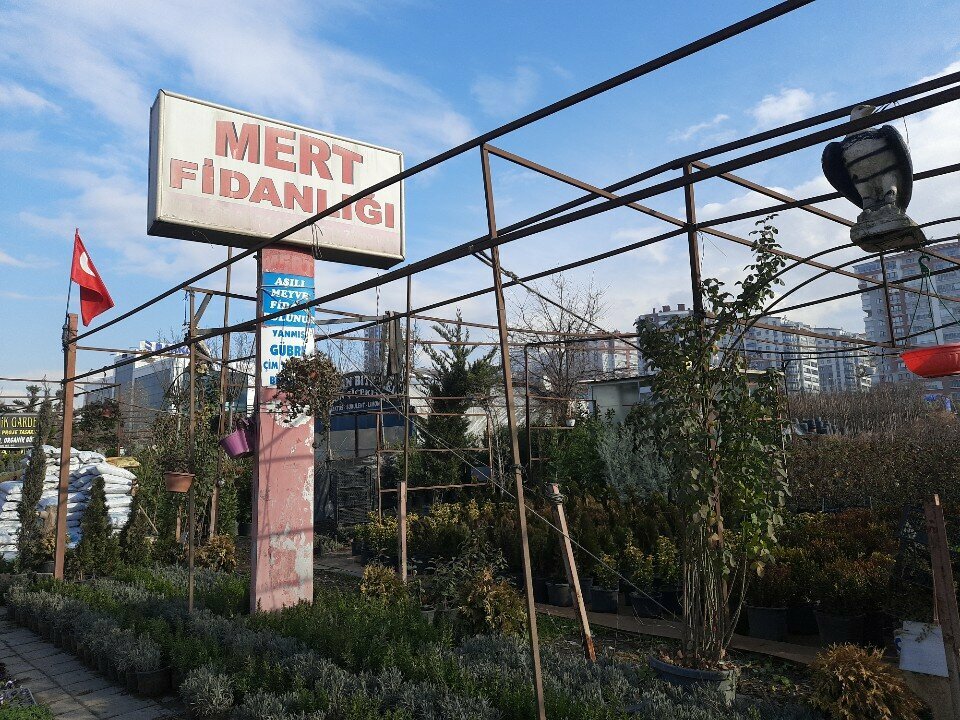 Çiçekçiler Mert Çiçekçilik, Ankara, foto