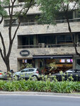 Freddo (Juana Manso No:1570), kafe  Buenos Aires'ten
