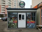 Фрукты и овощи (praspiekt Pieramohi No:15), manavlar  Vitebsk'ten