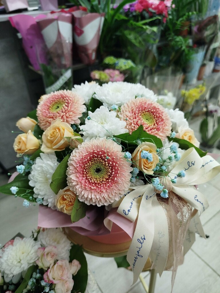 Çiçekçiler Гербера, Mordovya, foto