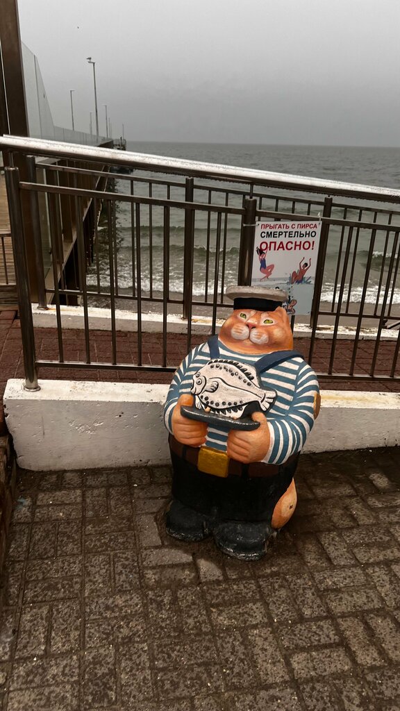 Park, sokak heykeli Кот, Zelenogradsk, foto