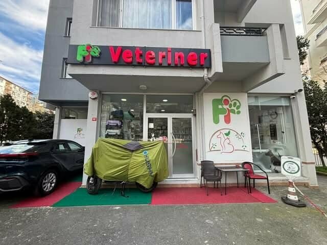 Veteriner klinikleri Fi veteriner kliniği, İstanbul, foto