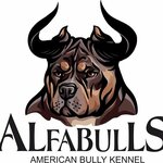 AlfaBulls (Neftyanikov Street No:3к2), petshop  Yaroslavl'dan