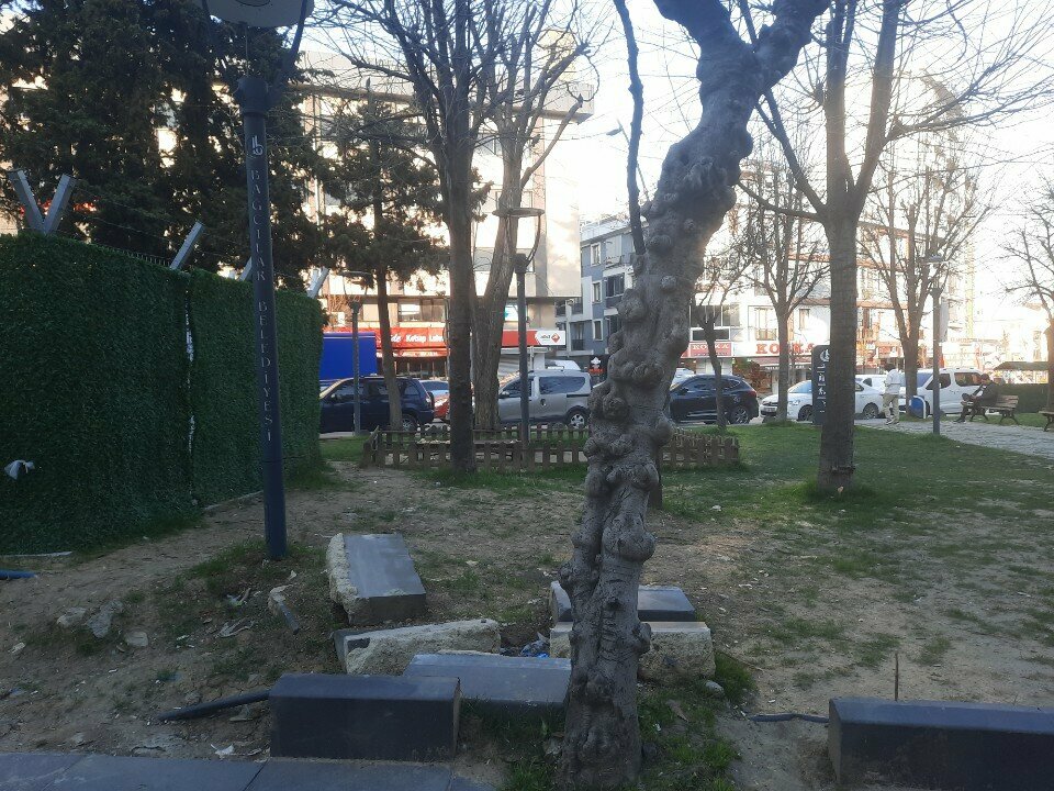 ATM'ler Vakıfbank ATM, İstanbul, foto