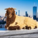 Al Haz Livestock Trading (1A Street, Seih Al Salhiyah, Sector 2, Ras Al Khaimah), hayvancılık  Resül‑Hayme'den