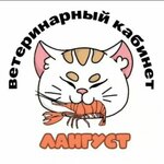 Ветеринарная клиника Лангуст (Odintsovo, mikrorayon Novaya Tryokhgorka, Kutuzovskaya Street, 23), veterinary clinic  Odintsovo'dan