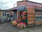 Цветы искусственные (Republic of Khakassia, Abakan), yapay bitki ve çiçek  Abakan'dan