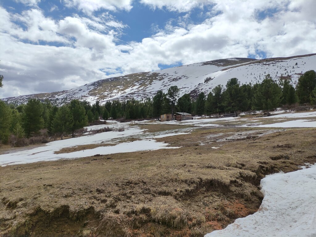 Kafe Дом молочника, Altay Cumhuriyeti, foto
