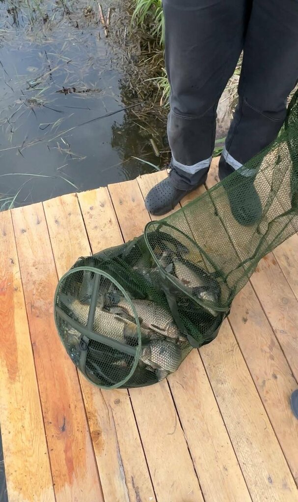 Kamp alanları Рыбалка Речки, Minskaya oblastı, foto