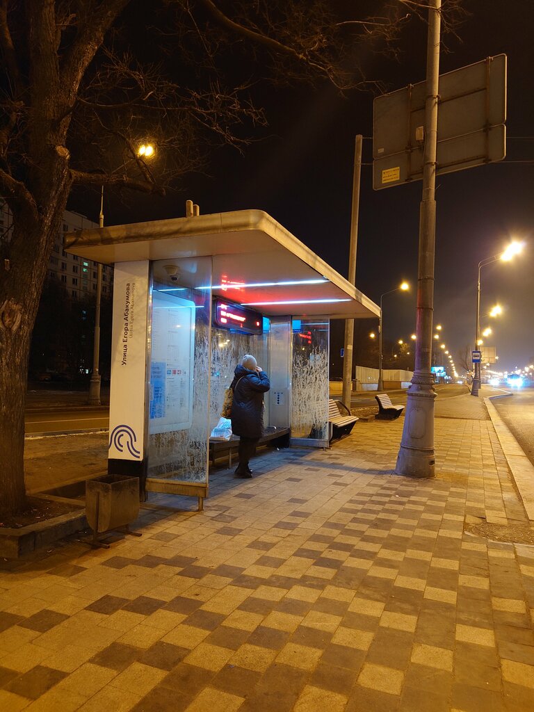 Toplu taşıma durağı Egor Abakumov Street, Moskova, foto