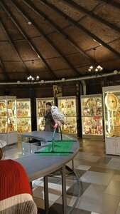 FiloSovia (ulitsa Turgeneva No:9В, Zelenogradsk), müzeler ve sanat galerileri  Zelenogradsk'tan