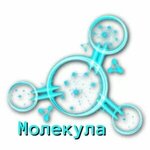 The Molecule Training Center (Frunze Street No:86), eğitim merkezleri  Novosibirsk'ten