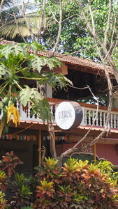 Because (Goa, North Goa County, Pernem Subdistrict, Town of Mandrem), restoran  Goa'dan