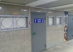 Туалет (Primorye Territory, Vladivostok, Svetlanskaya Street), tuvalet  Vladivostok'tan