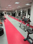 Скульптор (ulitsa imeni Sovetskoy Armii-2 No:65), spor ve jimnastik salonları  Stavropol'dan