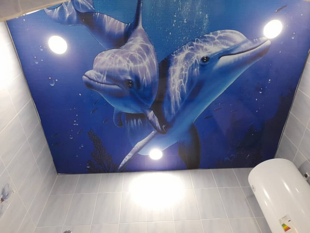 Tavan sistemleri Eco Ceilings, Aktöbe, foto