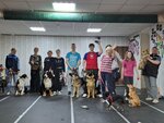 СветГор (ulitsa Tarasova No:39), köpek hizmeti  Çeliabinsk'ten