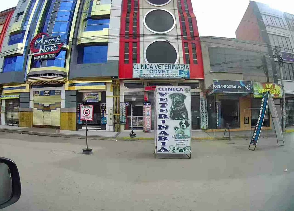 Veteriner klinikleri Cdvet Veterinary Clinic, El Alto, foto