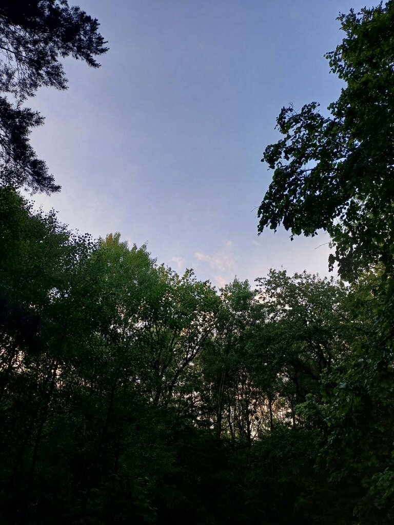 Piknik alanı Место для пикника, Voronej, foto