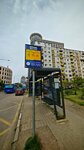 Sherif Khimshiashvili Street, 25 (Autonomous Republic of Adjara, Batumi, Sherif Khimshiashvili Street), toplu taşıma durağı  Batum'dan
