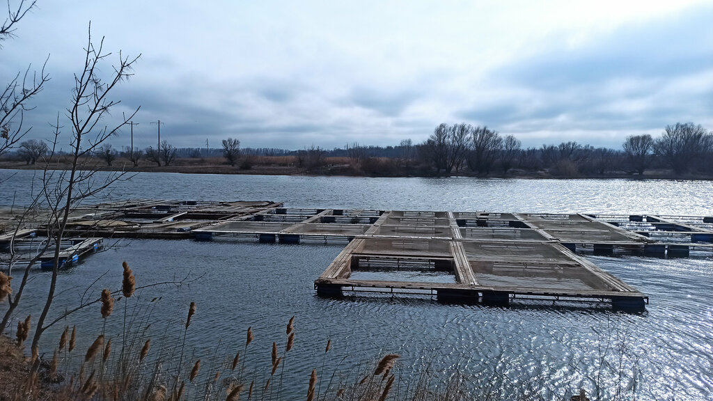 Balık çiftçiliği ve toptancıları Осетровая ферма Локтева В. В., Astrahanskaya oblastı, foto