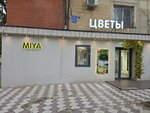 Miya (Magomeda Yaragskogo Street No:77А), çiçekçiler  Makhachkala'dan