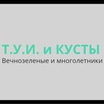 Т. У. И. и Кусты (Vesennyaya ulitsa No:20), fidan yetiştiriciliği  Novy Oskol'dan