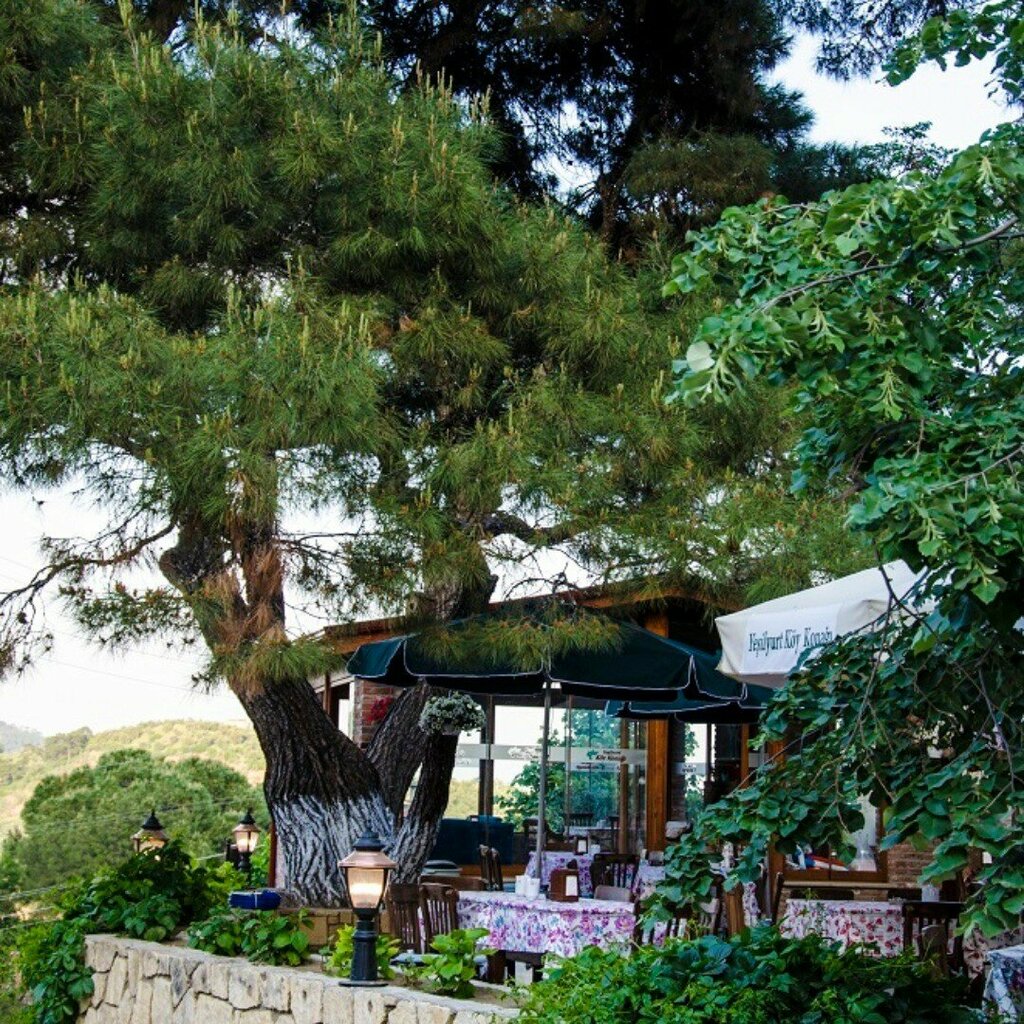 Kafe Yeşilyurt Köy Konağı, Ayvacık, foto