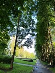 Парки Ижевска, Оператор Общественных Пространств Города (Kirova Street No:8А), kültür ve eğlence parkları  Izhevsk'ten