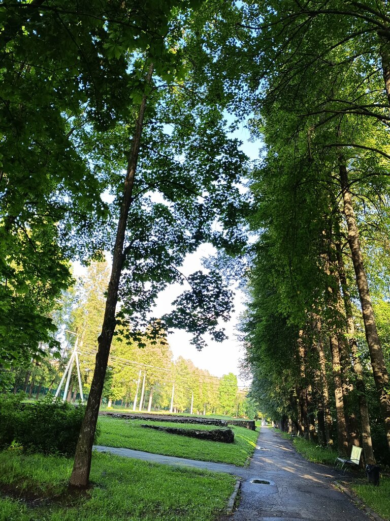 Kültür ve eğlence parkları Парки Ижевска, Оператор Общественных Пространств Города, Izhevsk, foto