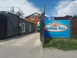 Аймақ Қус (Máskeý kóshesi No:15/3), kanatlı hayvan ürünleri ve yumurta  Astana'dan