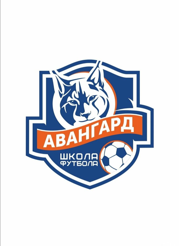 Spor kulüpleri Школа футбола Авангард, Krasnoyarsk, foto