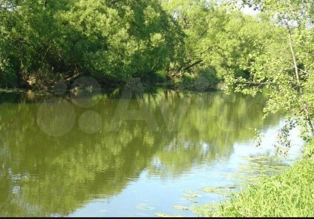 Plaj Beach, Kalujskaya oblastı, foto