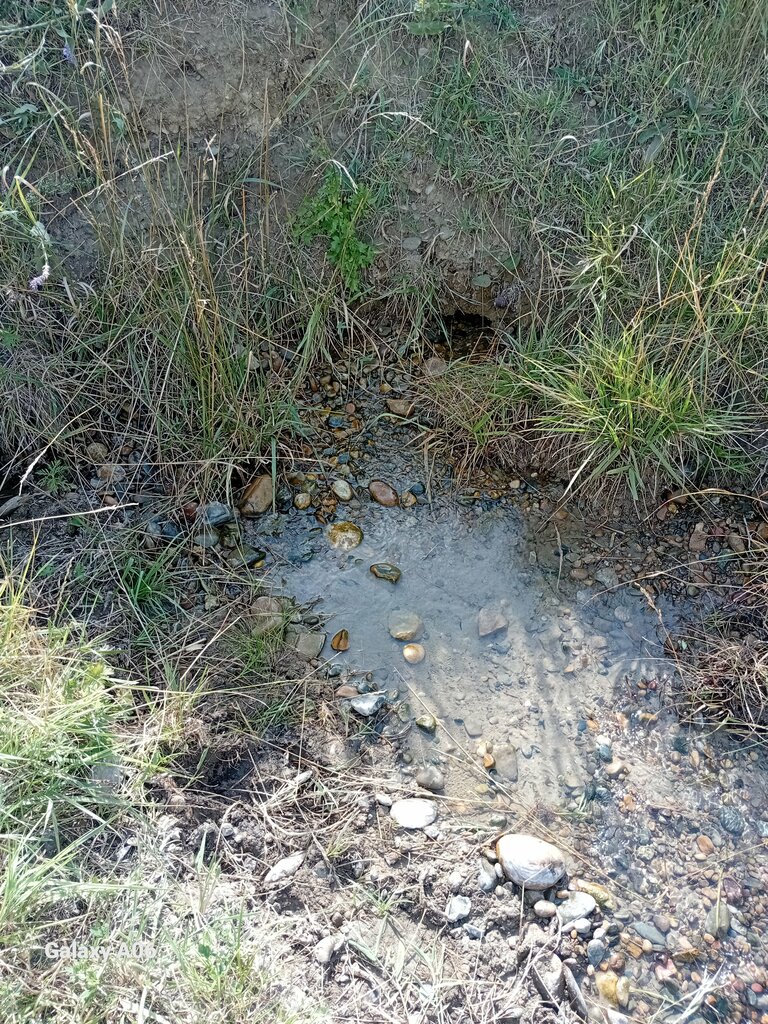 Pınar, çay Spring, stream, Krasnodarski krayı, foto