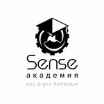 Академия Сенсе (Oktyabrskaya Street No:22с14), kurs  Ulyanovsk'tan