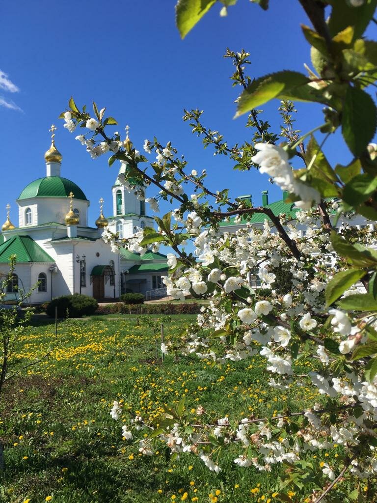 Manastır Alekseevsky Convent, Kurskaya oblastı, foto