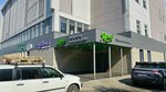 Мастер и Маргаритка (60 Let Obrazovaniya SSSR Avenue No:5), çiçekçiler  Krasnoyarsk'tan