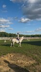 4 Подковы (Voronezh Region, Semilukskiy rayon, Devitskoye selskoye poseleniye), at ve binicilik kulüpleri  Voronejskaya oblastından