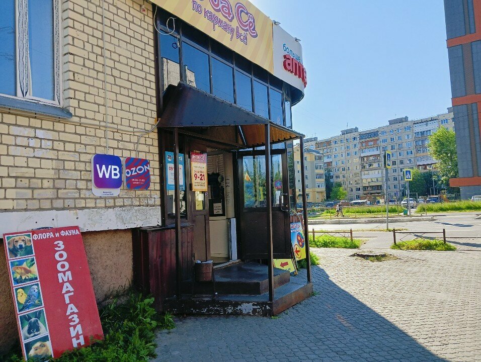 Telefon tamir servisi Lider, Arhangelsk, foto