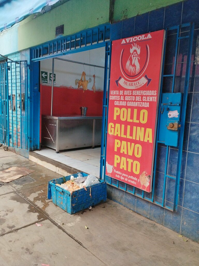 Kanatlı hayvan ürünleri ve yumurta Avícola Huaracc, Lima, foto