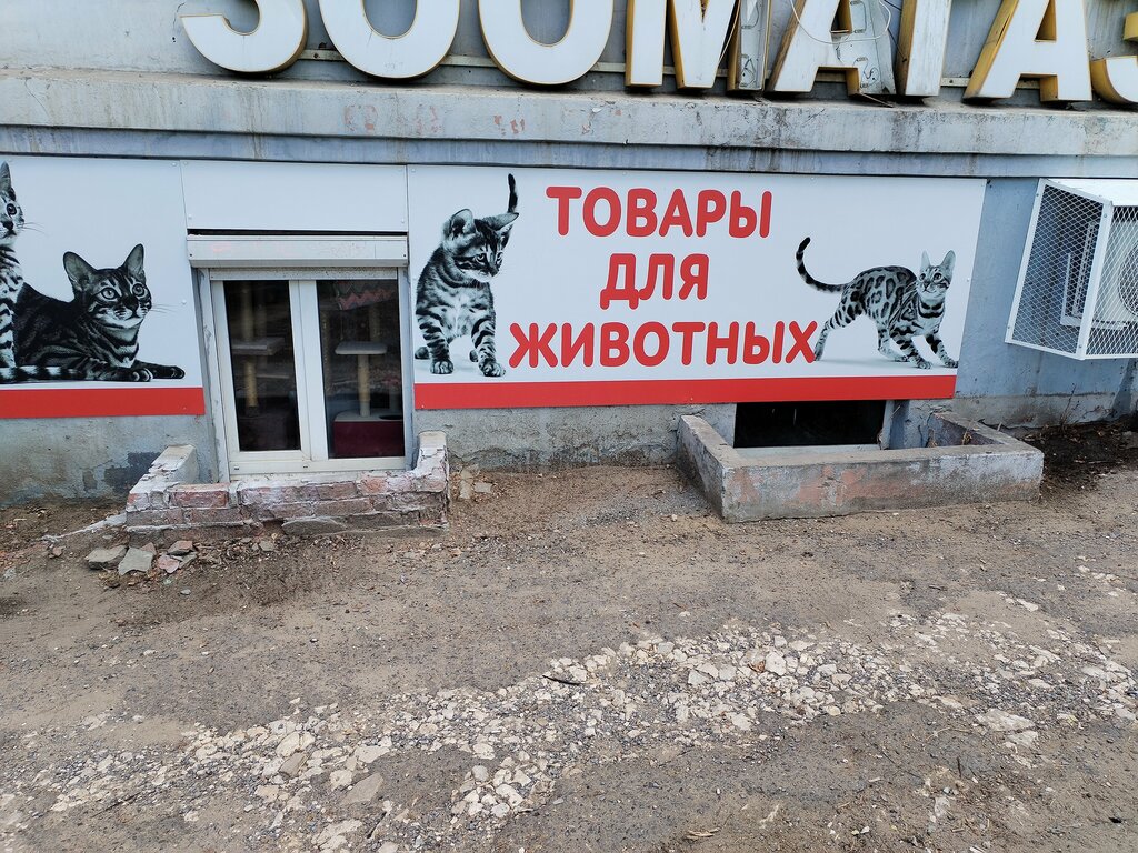 Petshop Zoomagazin, Volgograd, foto