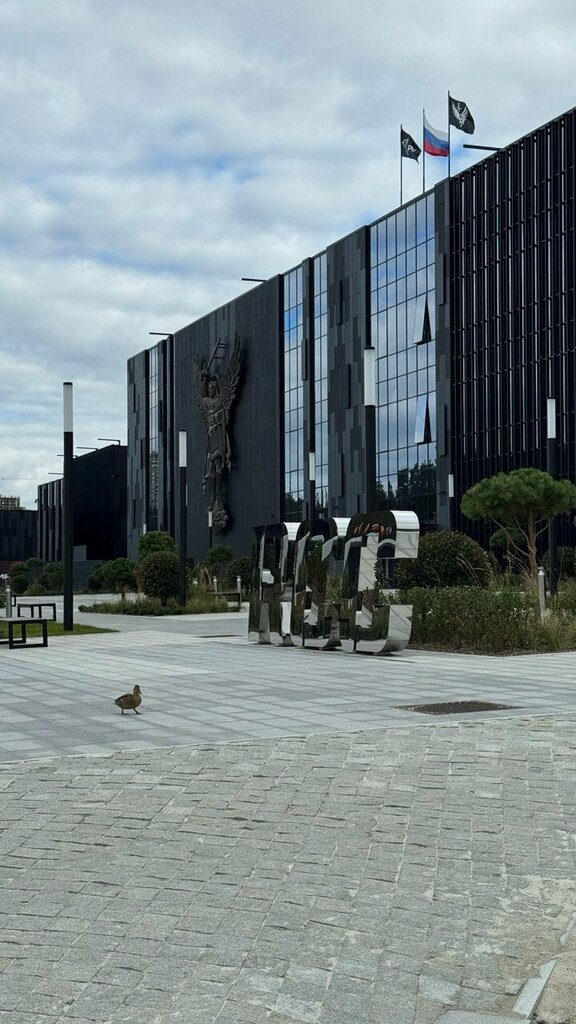Fitness kulüpleri Rcc Gym, Yekaterinburg, foto