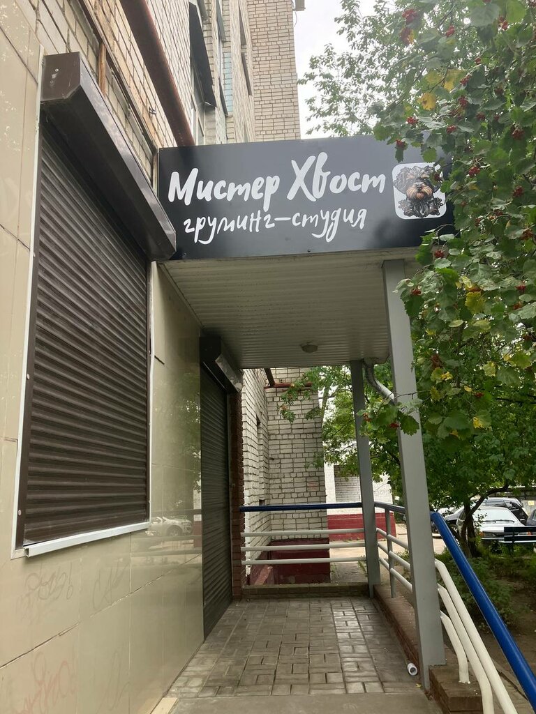 Evcil hayvan kuaförleri Груминг студия Мистер Хвост, Nijni Novgorod, foto